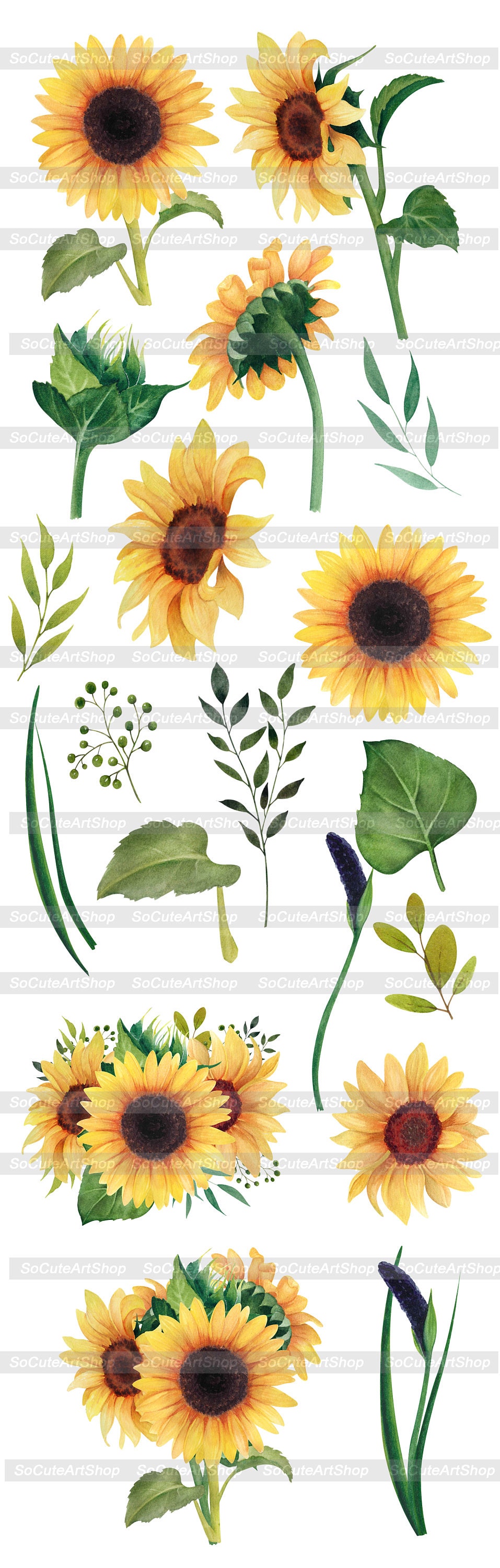 Watercolor Sunflower PNG Clipart Floral Clip Art Sunflower - Etsy