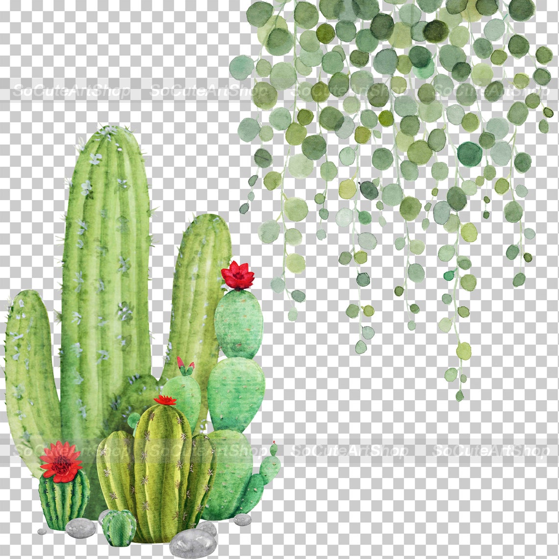 Watercolor Cactus Clipart Set Succulent Clip Art PNG | Etsy