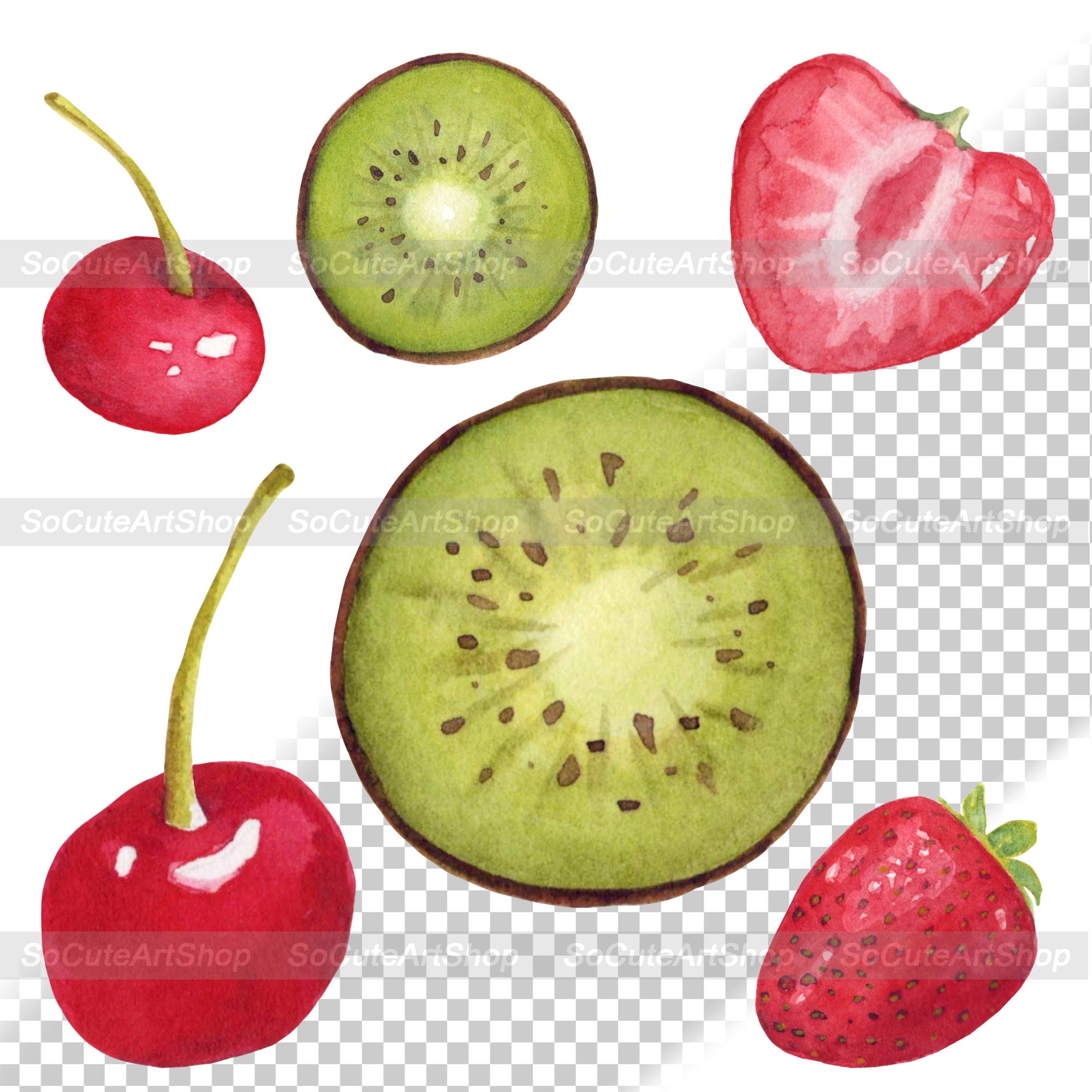 Watercolor Fruit Clipart Set Summer Tropical Fruits Clipart - Etsy