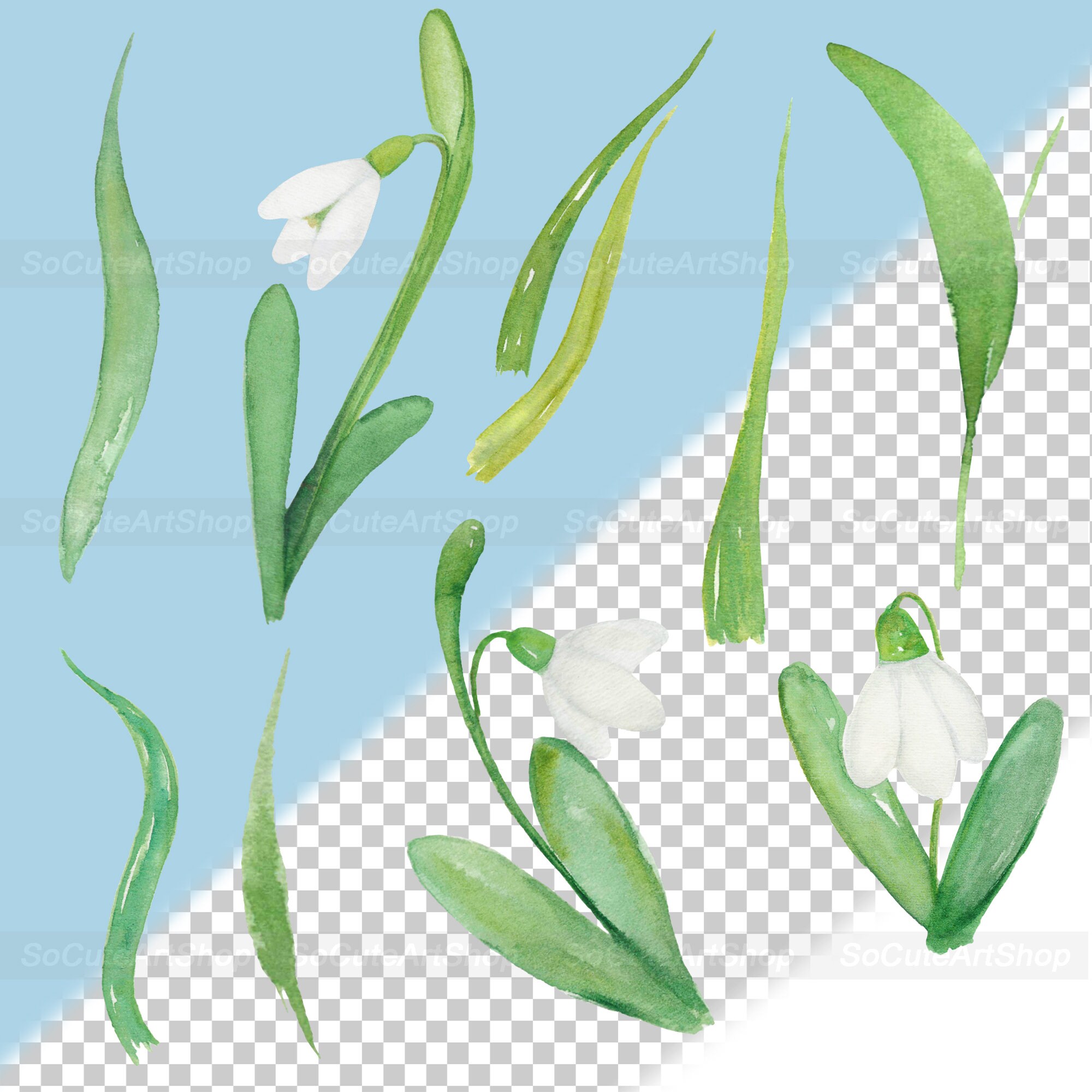 Watercolor Easter Clipart Spring Floral Clipart Baby Chicks - Etsy