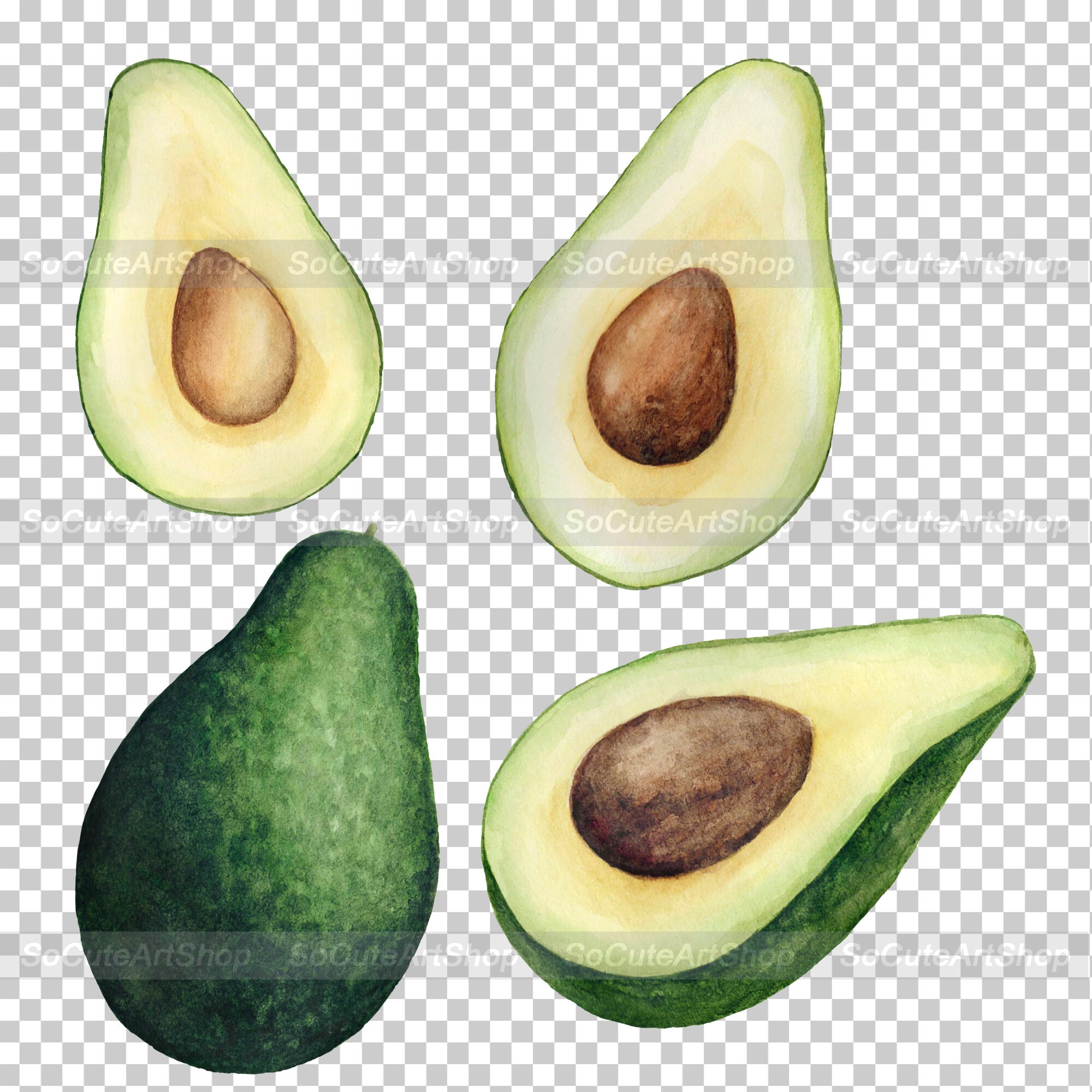 Watercolor Avocado Clipart Set, Hand Painted Clip Art, PNG, Digital ...