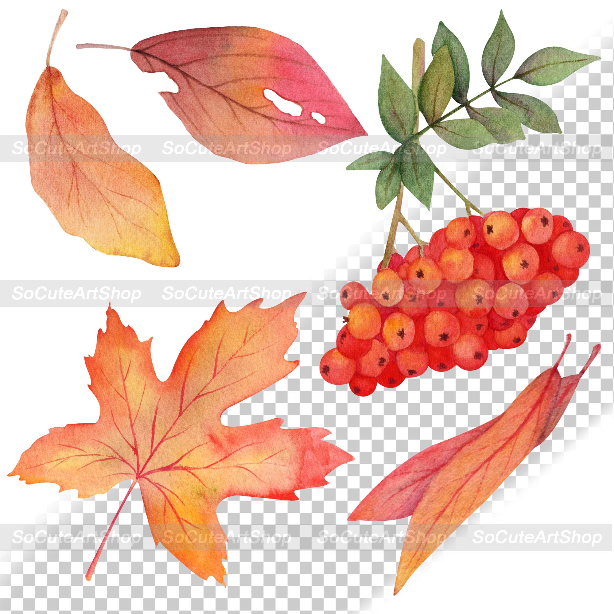 Watercolor Autumn Leaves and Mushrooms Clipart, Fall Elements Set ...