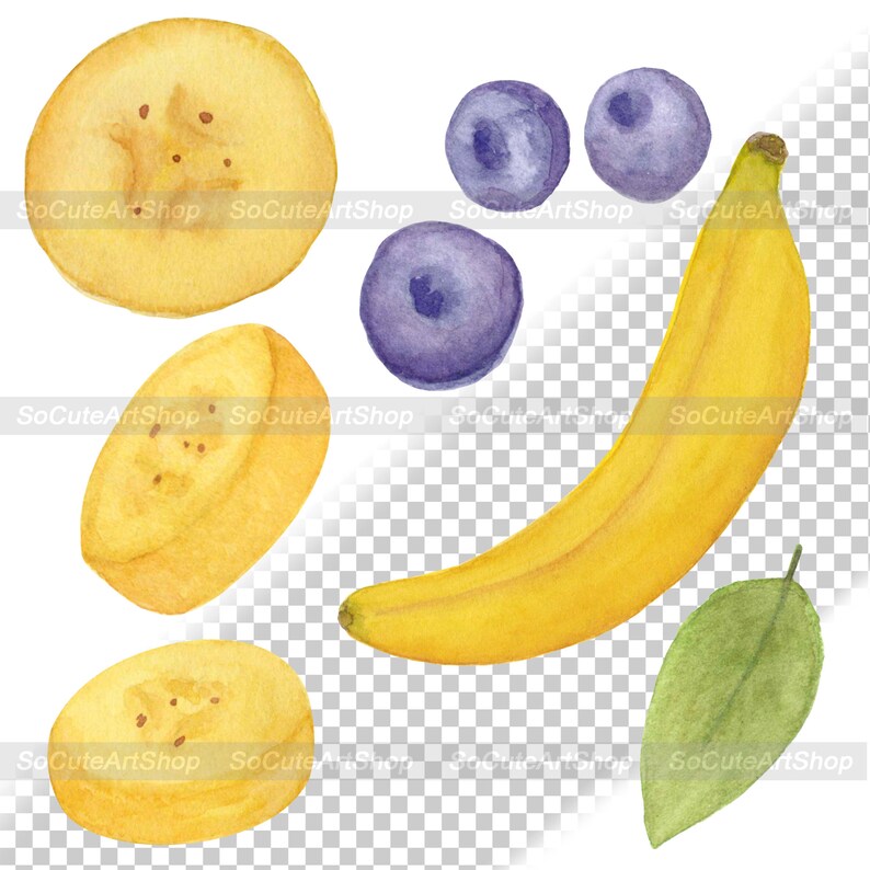 Watercolor Fruit Clipart Set Summer Tropical Fruits Clipart - Etsy