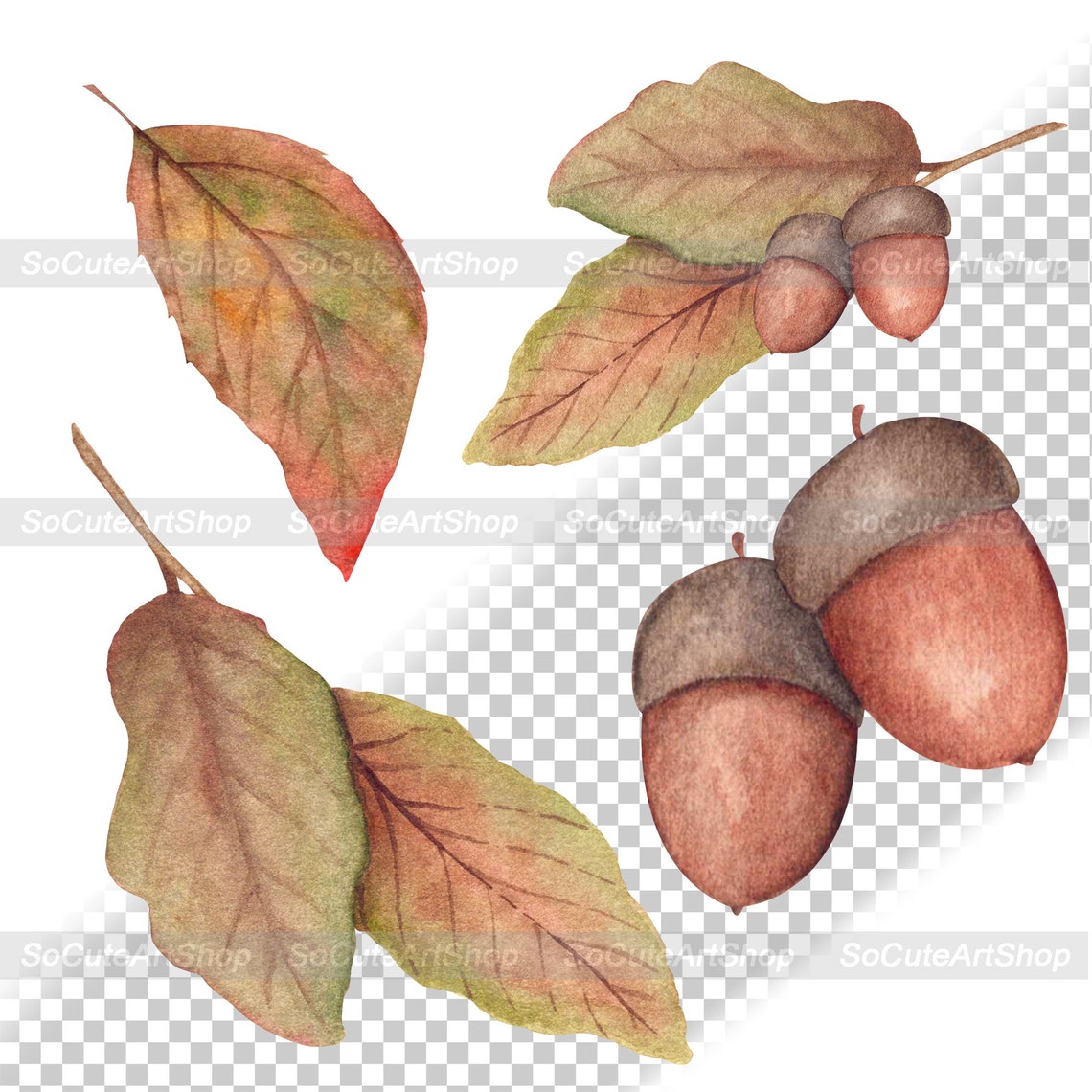 Watercolor Cozy Fall Clipart Thanksgiving Fall Png Autumn - Etsy