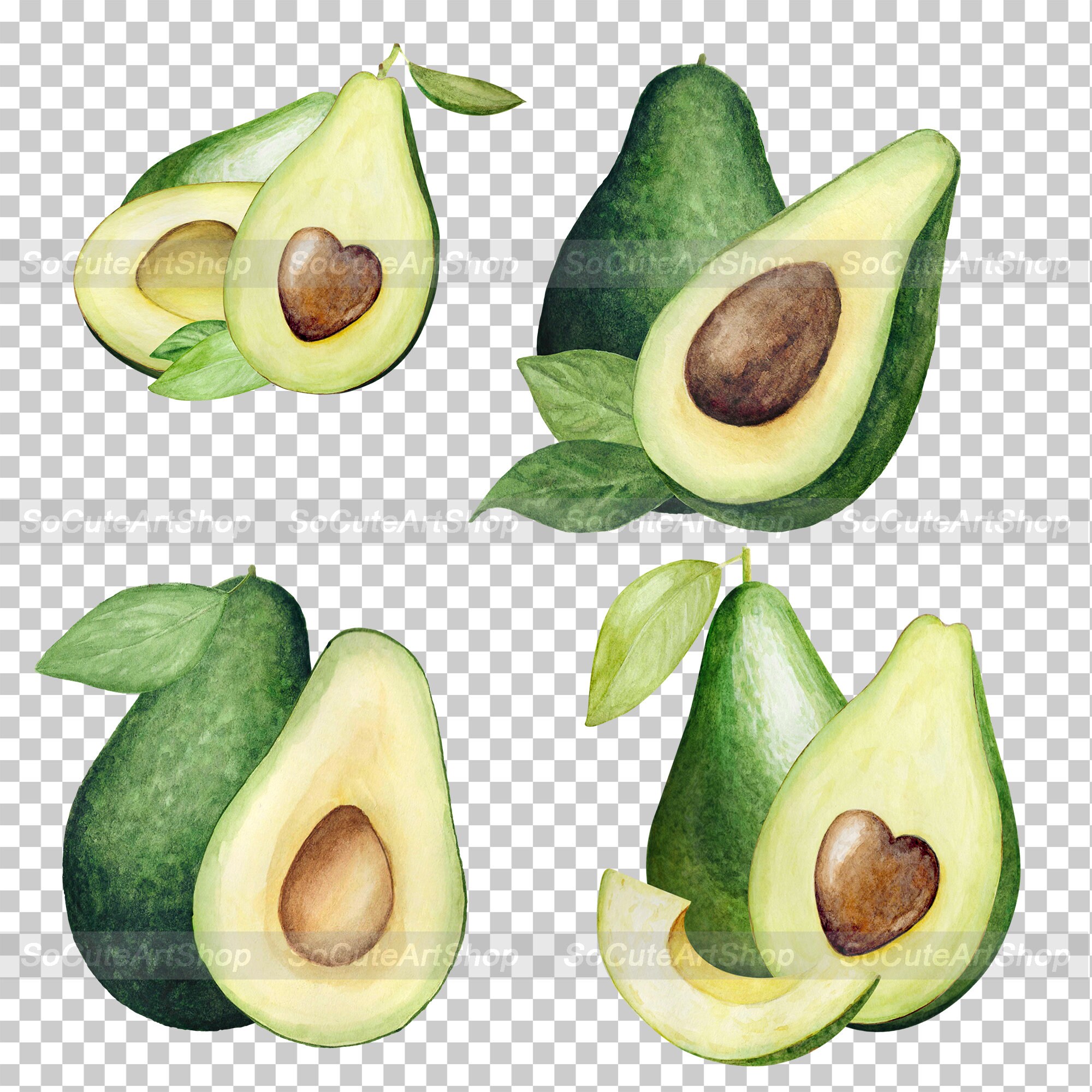 Watercolor Avocado Clipart Set, Hand Painted Clip Art, PNG, Digital ...