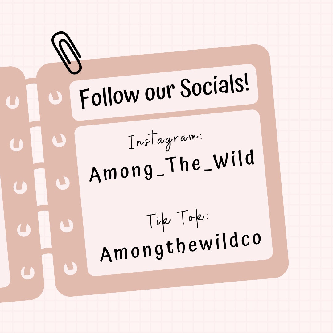 Enjoy the Ride Vinyl Sticker Scrapbook Car Decal Bumper Sticker ...