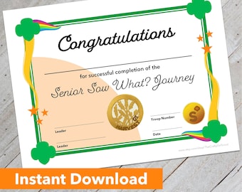 Girl Scout Senior Girltopia Visionary Journey Certificate ...