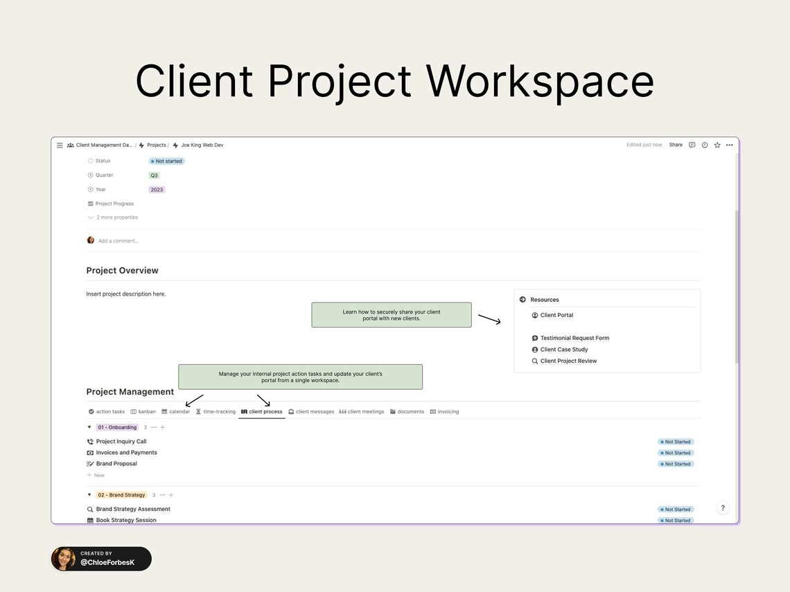 Notion Client Management Template - Etsy