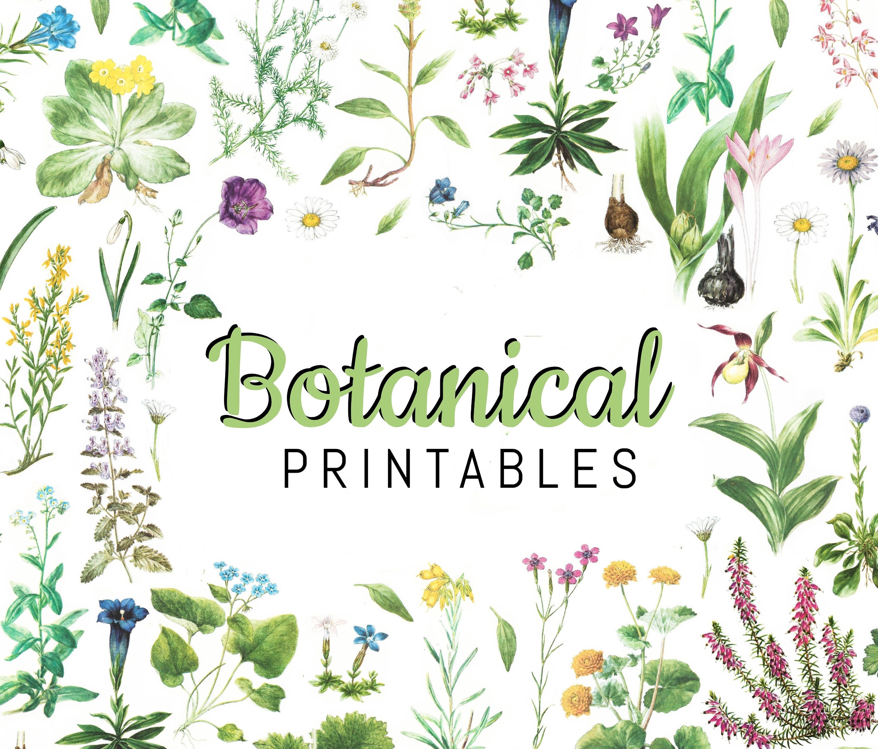 Botanical Ephemera kit Printable Digital Download Sheet | Etsy