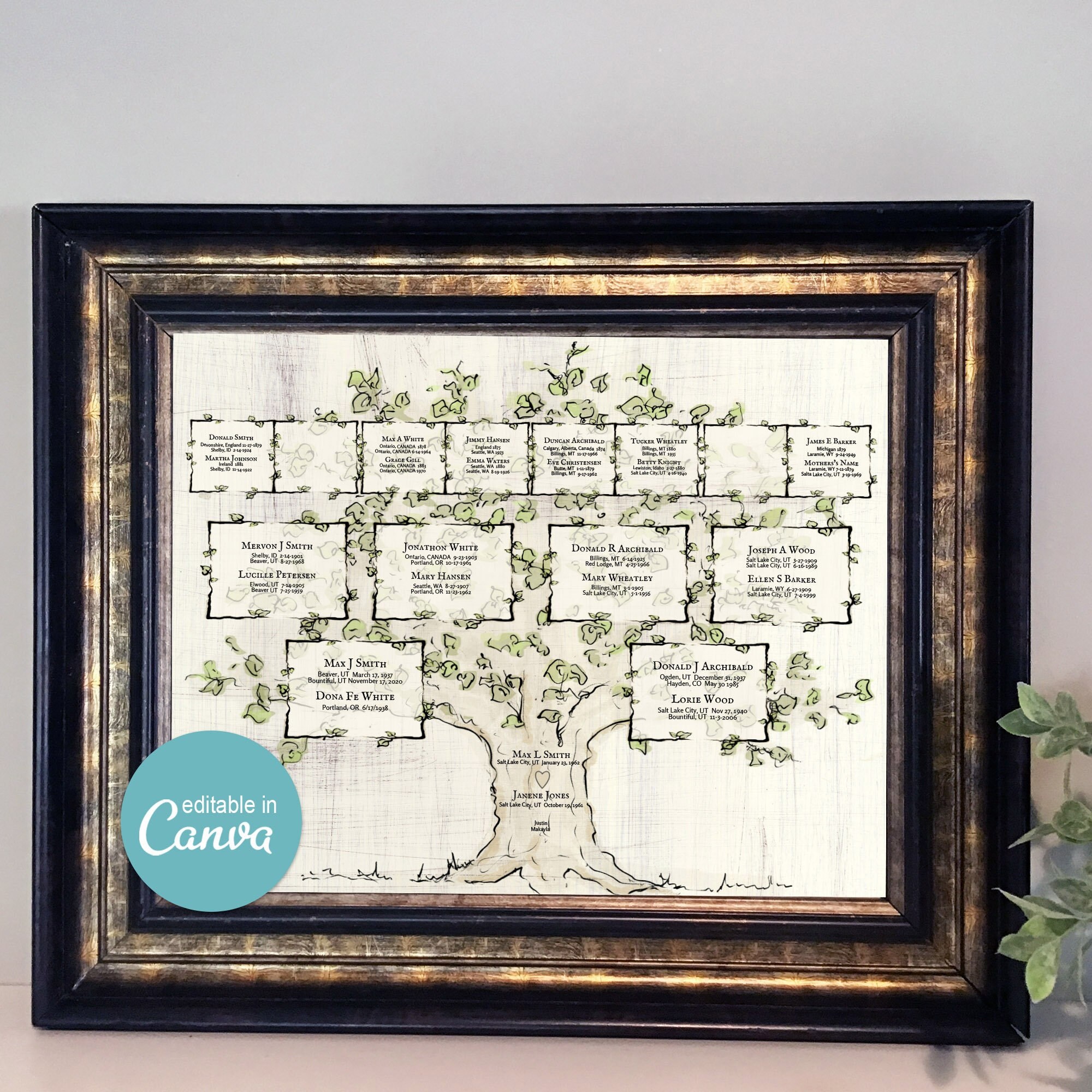 Diy Family Tree Ideas