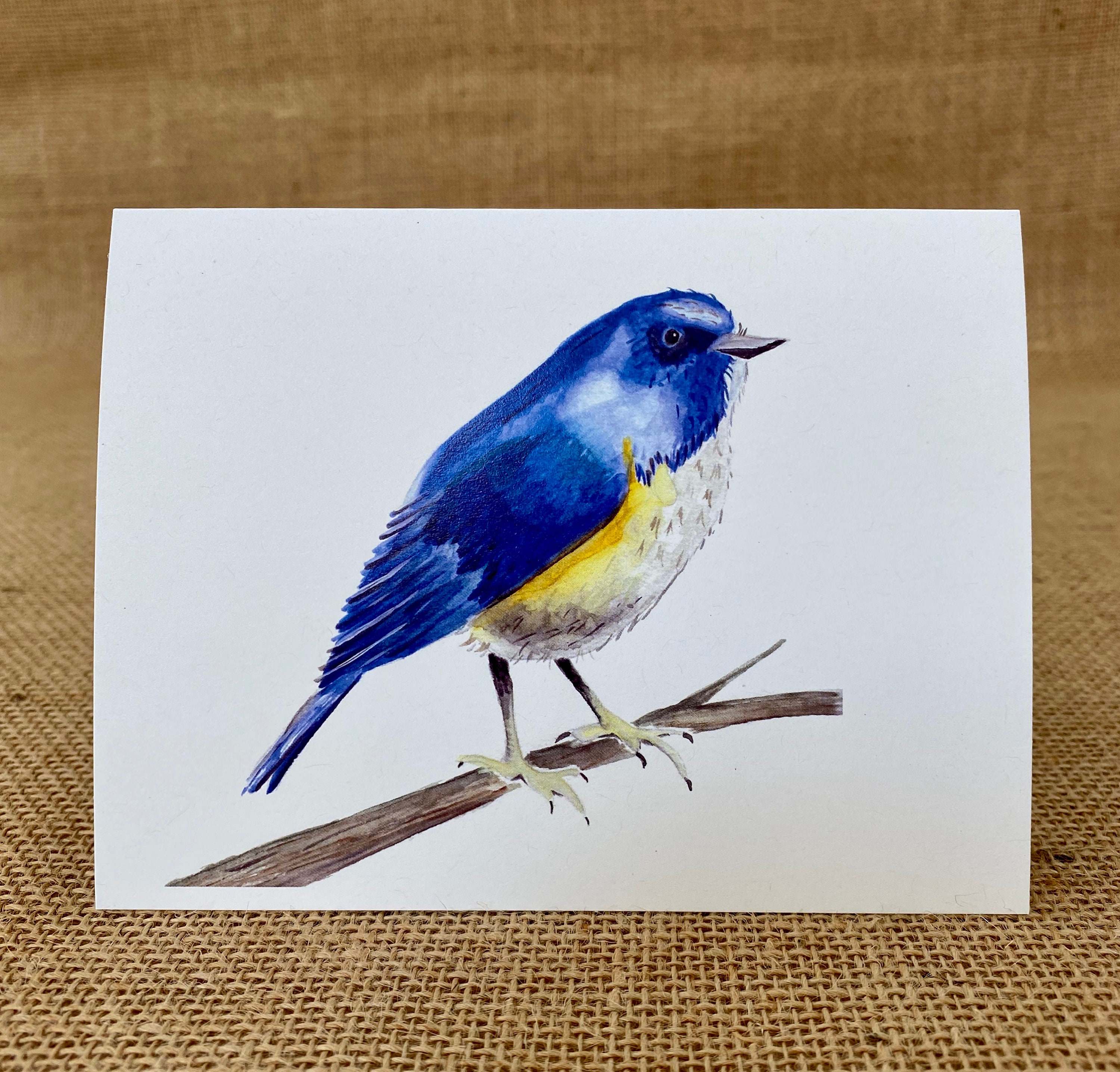 REUSABLE Greeting Card-all Occasion-100% Recycled Paper-watercolor ...