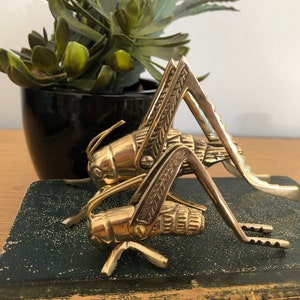 Brass Cricket Good Luck Hearth Cricket Two Sizes - Etsy