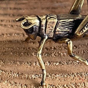 Brass Cricket, Miniature | Good Luck Cricket - Etsy
