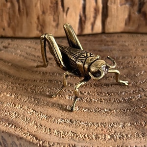 Brass Cricket, Miniature | Good Luck Cricket - Etsy