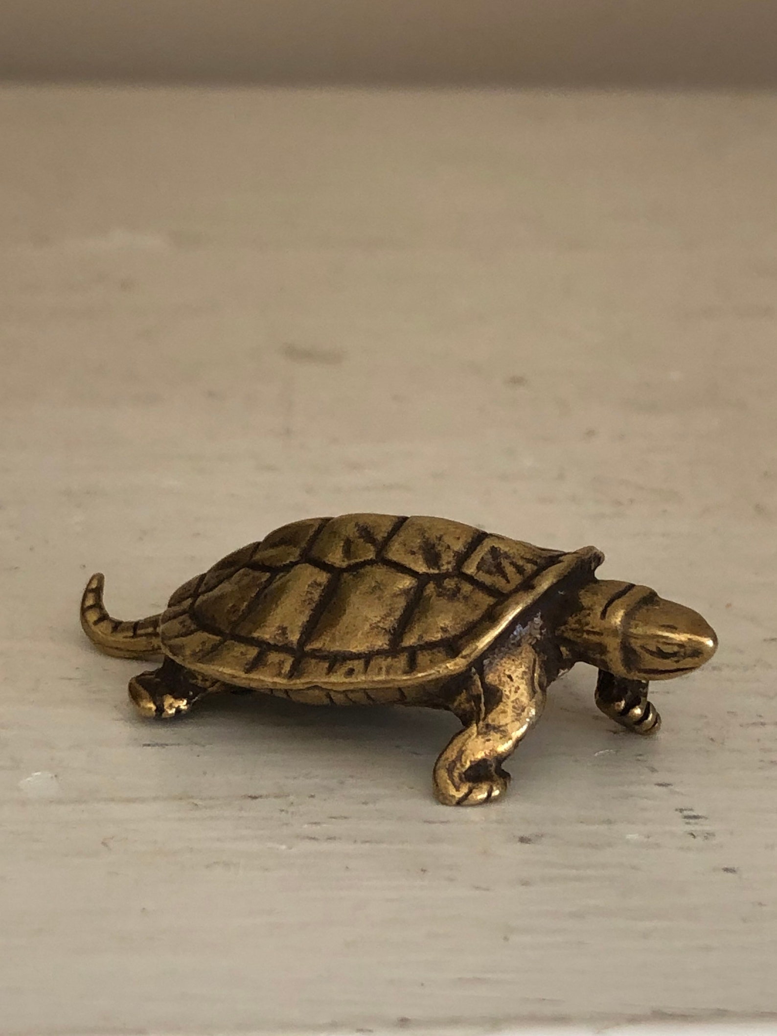 Brass Turtle Brass Tortoise Miniature Brass Turtle - Etsy