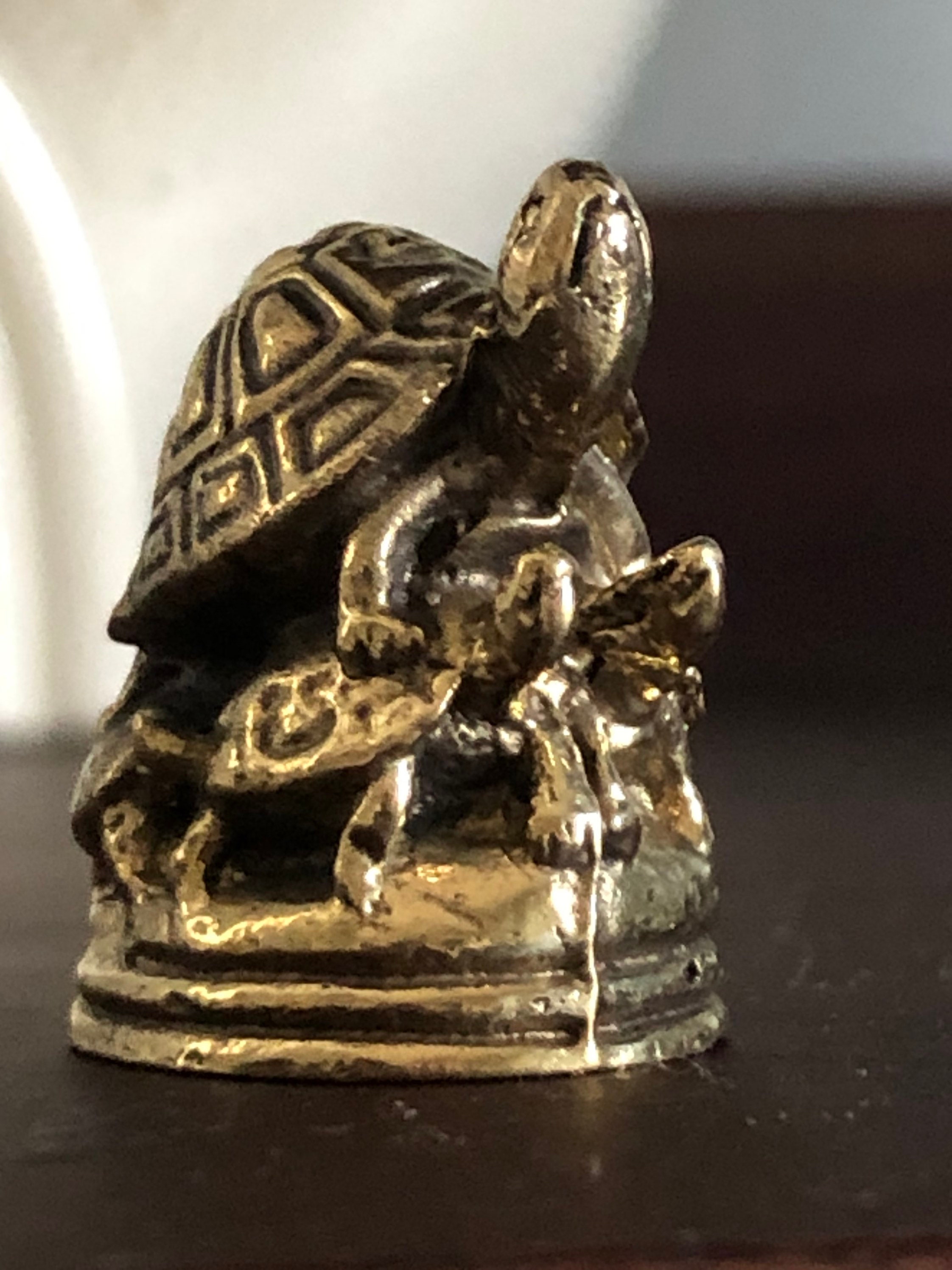 Brass Turtle Miniature Brass Turtle Family Shadow Box - Etsy