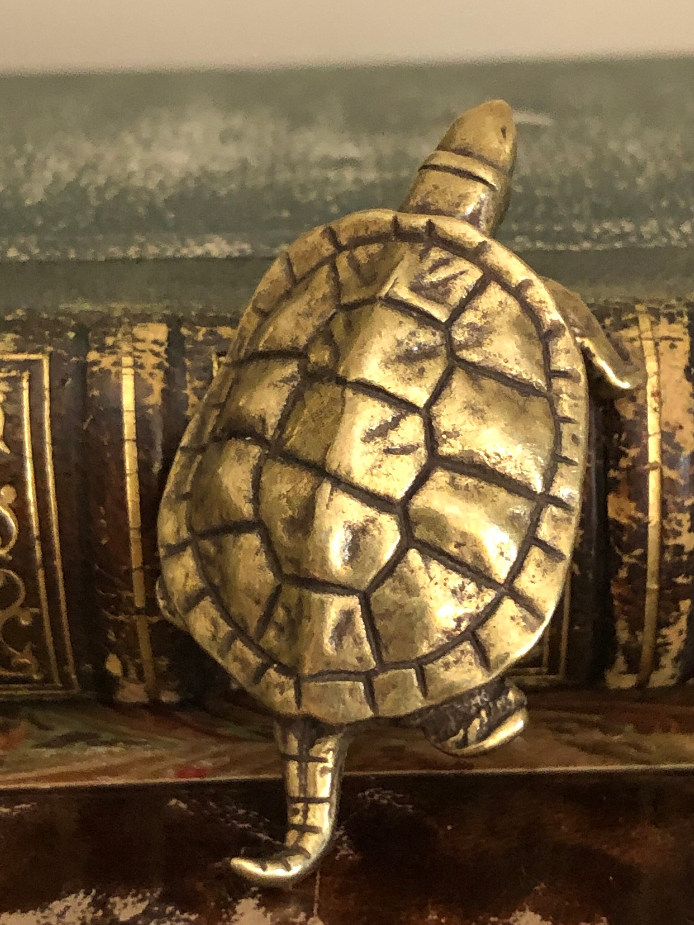 Brass Turtle Brass Tortoise Miniature Brass Turtle - Etsy