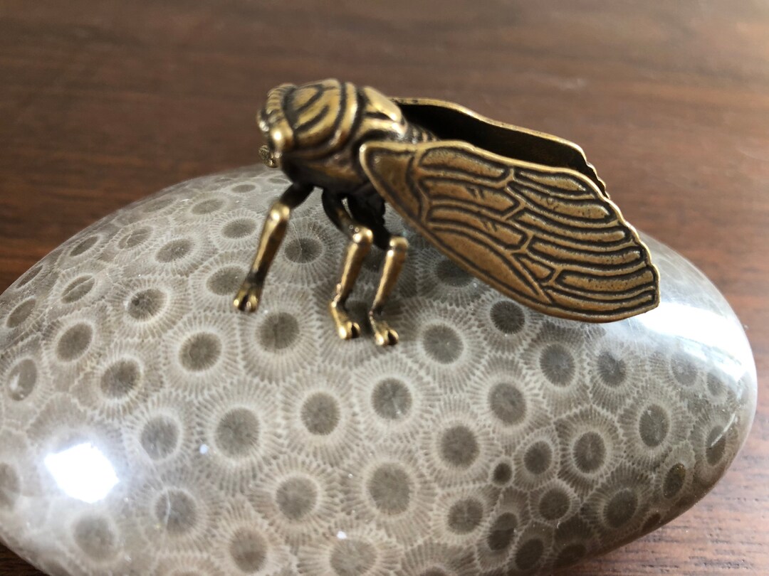 Miniature Brass Cicada | Brass Insect | Brass Bug - Etsy