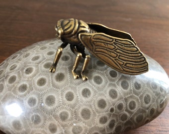 Brass Bug - Etsy