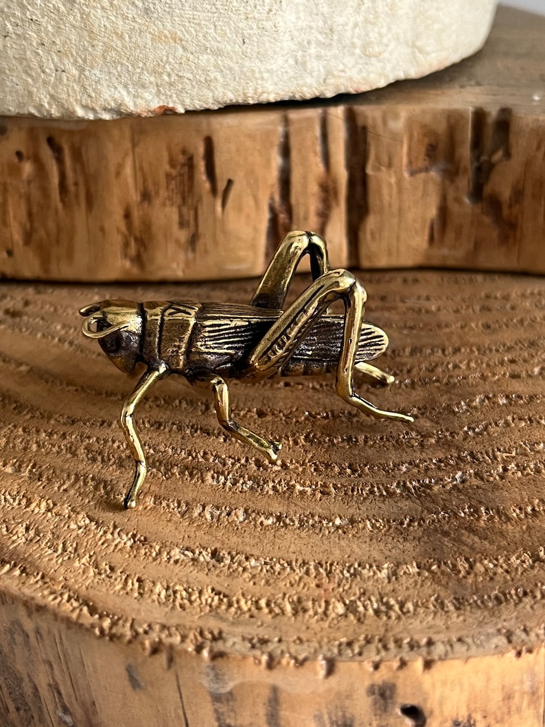 Brass Cricket Miniature Good Luck Cricket - Etsy