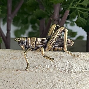 Brass Cricket, Miniature | Good Luck Cricket - Etsy