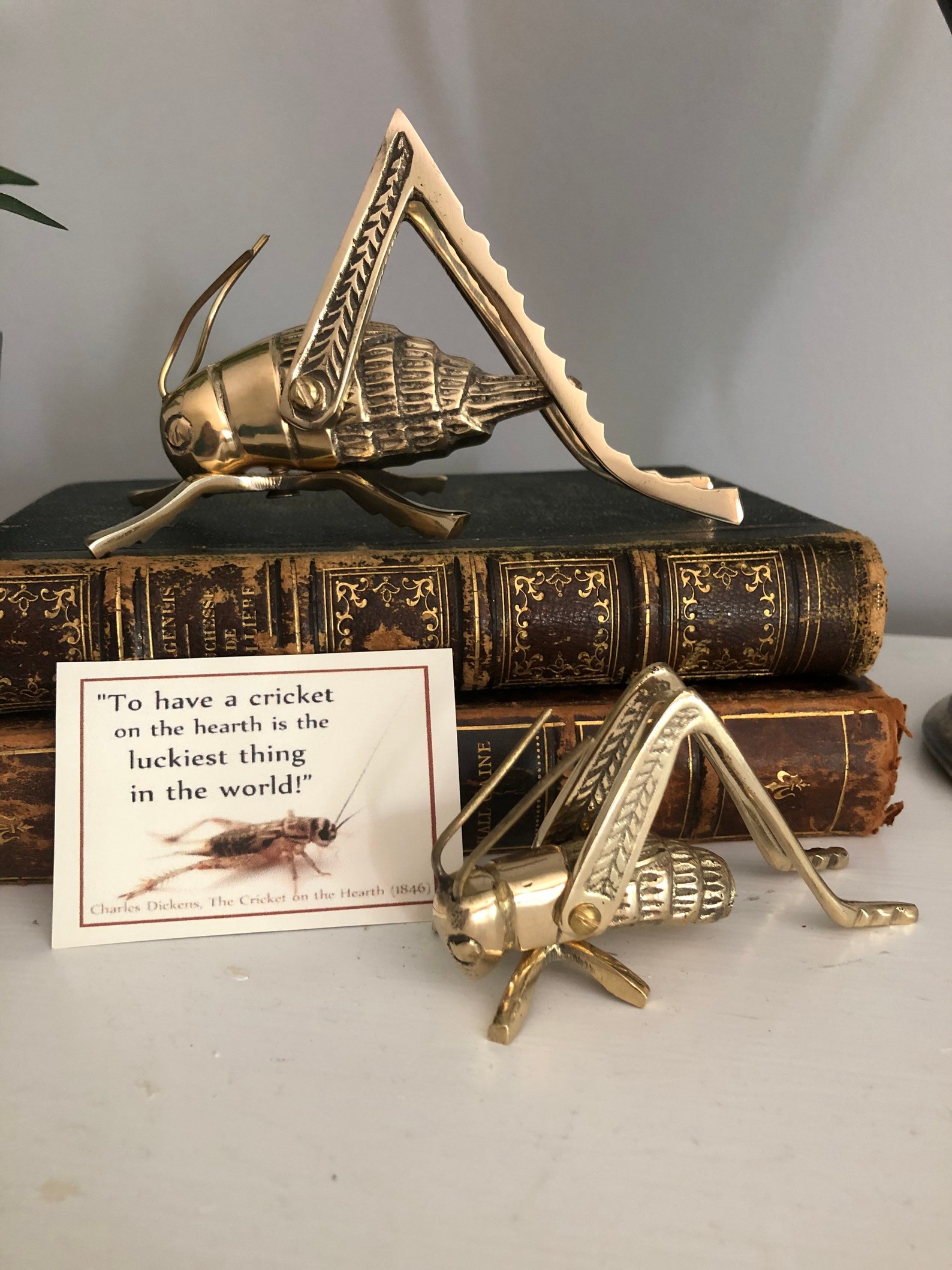 Brass Cricket Good Luck Hearth Cricket Two Sizes - Etsy