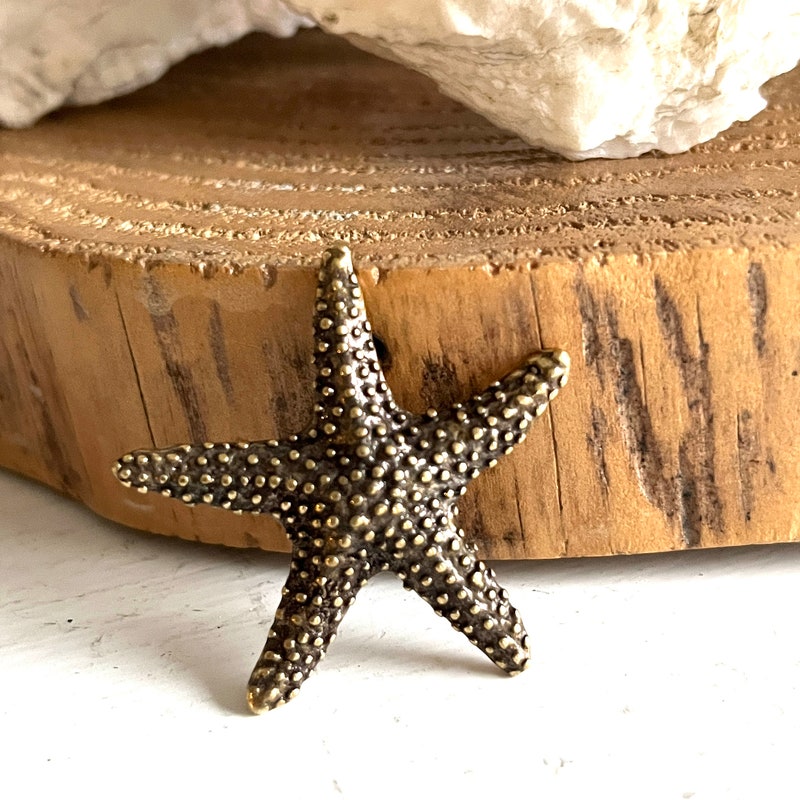 Starfish Home Decor - Etsy