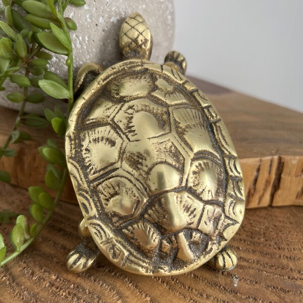 Turtle Jewelry Box - Etsy