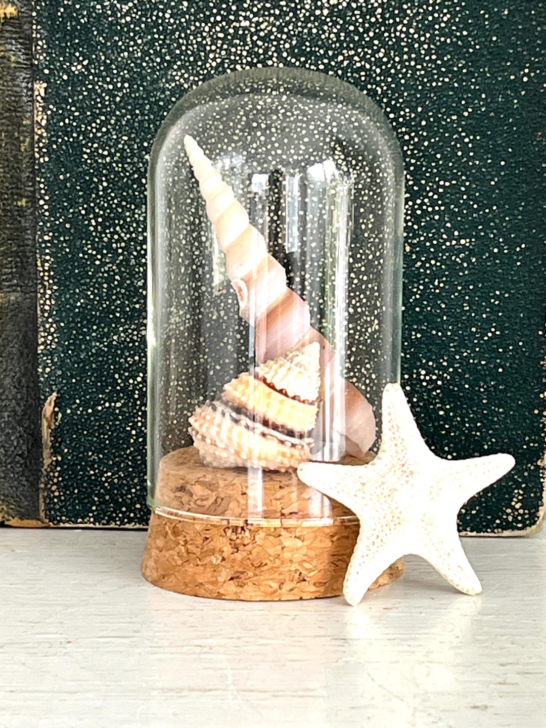 Small Glass Cloche Display for Miniatures - Etsy