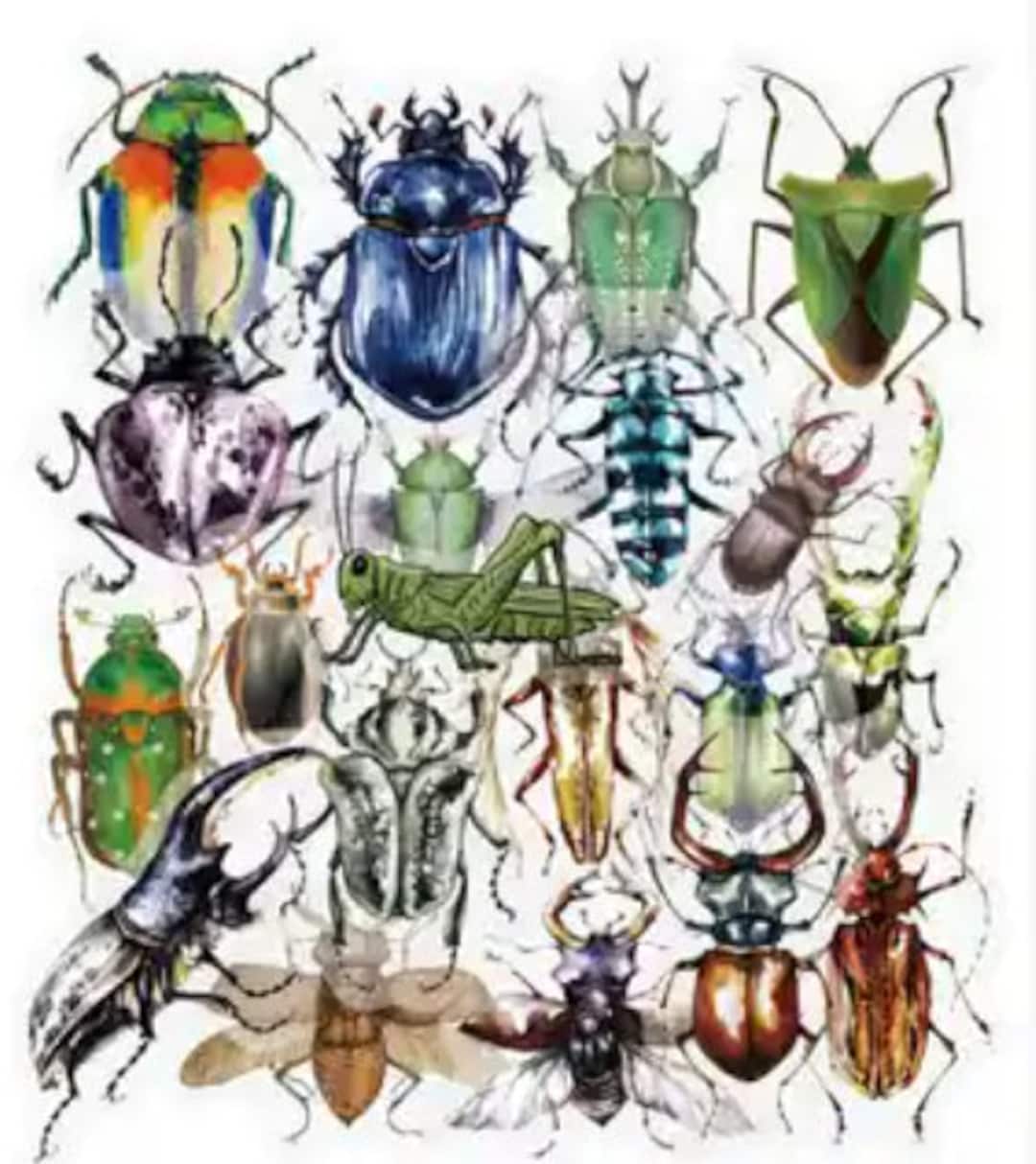 40 Transparent Insect Stickers - Etsy