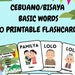 Basic Cebuano/ Bisaya Words Printable Flashcards for Kids and Adults ...