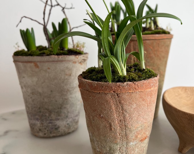 Smal Wall Clay Flower Planter Pot Weathered Terracotta 7"h X 10"w X 6"d ...