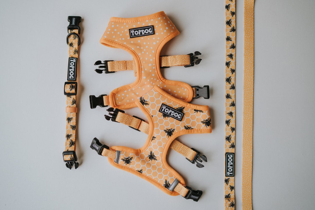 Bee Kind Reversible Puppy Dog Harness - Etsy