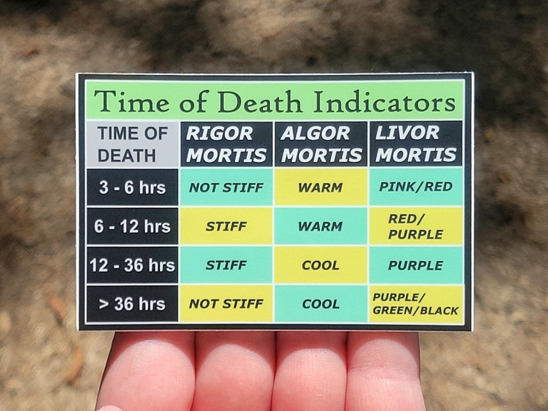 Forensic Science Sticker / Time of Death Indicators / Forensics ...