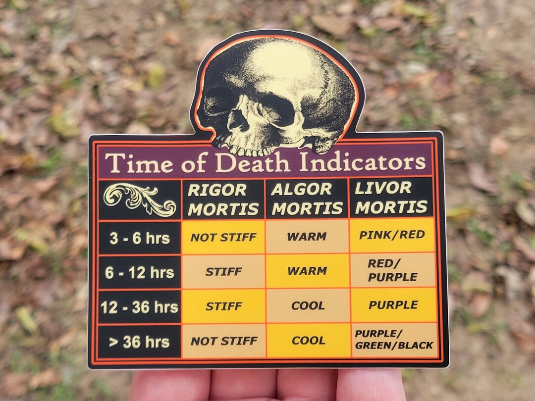 Time of Death Indicators Sticker / Forensics Criminology Criminal ...