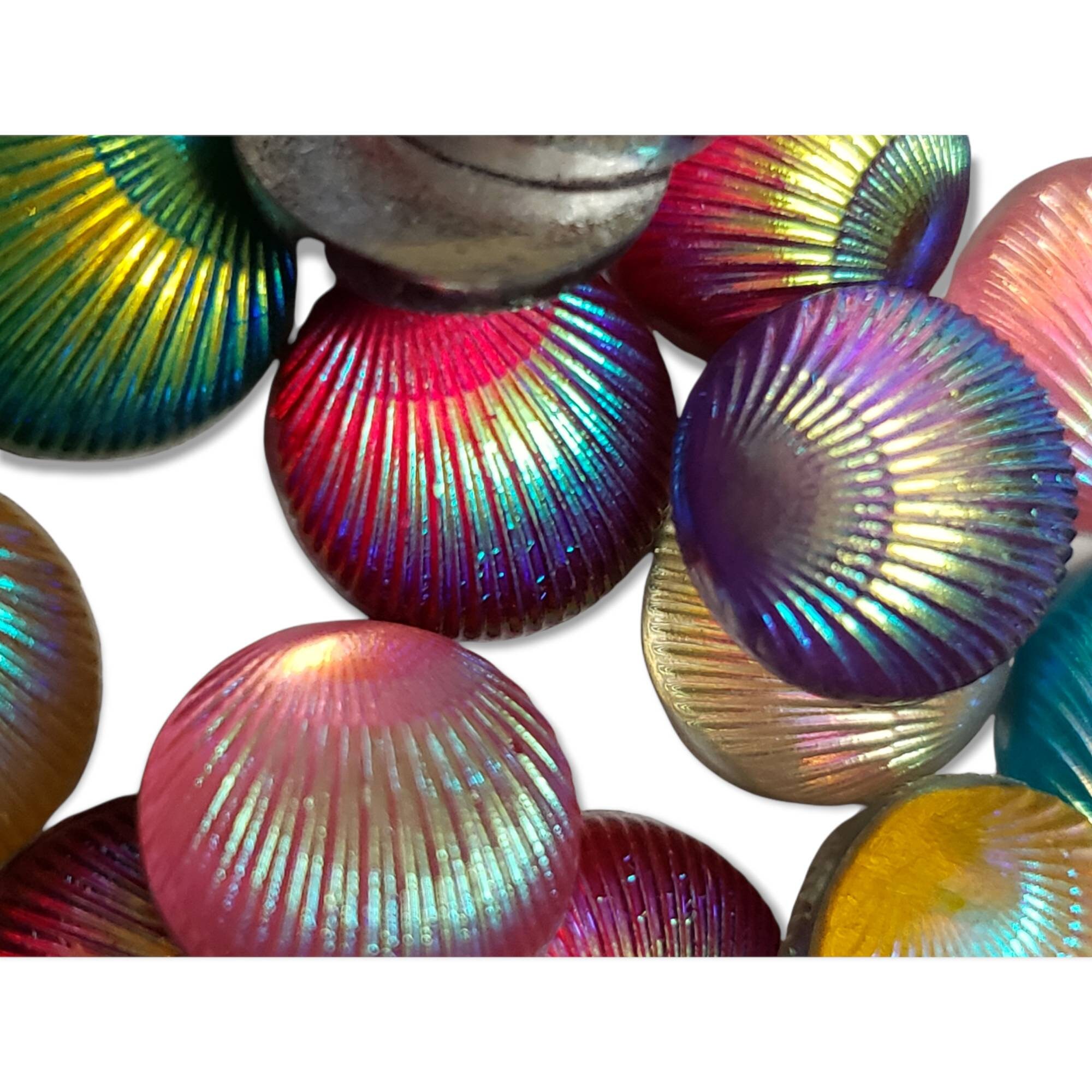 9.75mm Resin AB Seashell Cabochon Round 9.75mm Set of 50 - Etsy