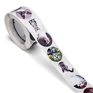 Choose Cat or Dog - Sticker Roll, 500 Stickers Roll, 1" Diameter ...