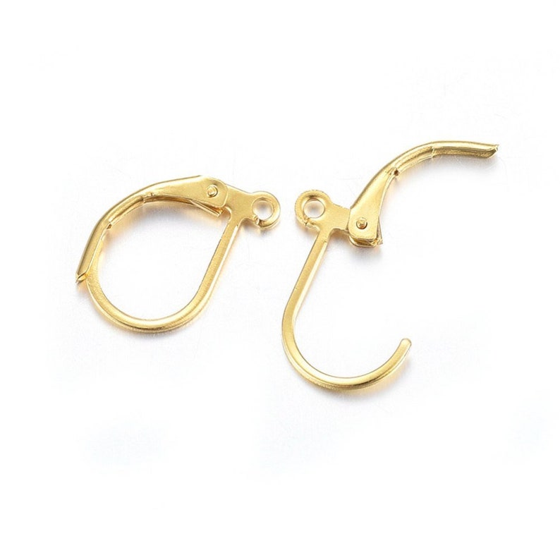 304 Stainless Steel Lever Back Earring, 15mm, Earring Wire, 5 or 25 ...