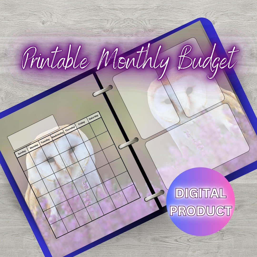 Printable Owl Monthly/paycheck Budget, Bird Monthly Budget Planner ...