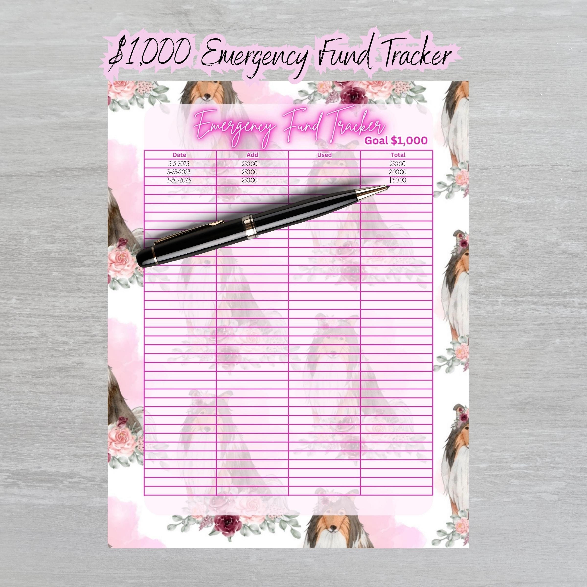 Printable Emergency Fund Savings Tracker Page, Emergency Fund Tracker ...