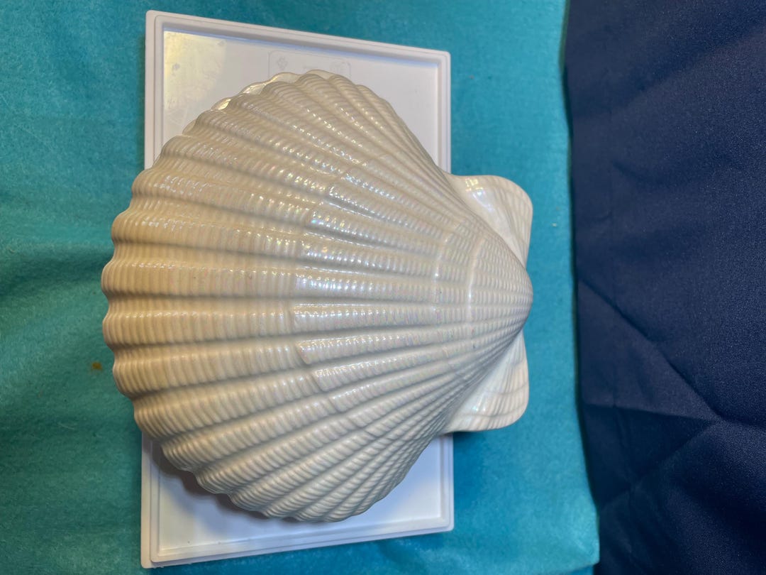 Seashell Shaped Covered Dish Opalesence Color Handmade and Signed - Etsy