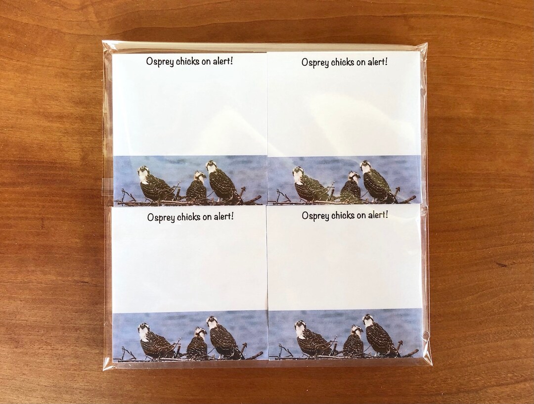 Osprey Bird Sticky Notes: 3x3 White 50-page Nature Notepads With ...