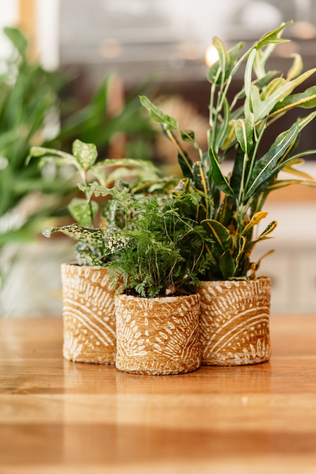 Plant Cozy - Fabric Planter - Mavis - Etsy