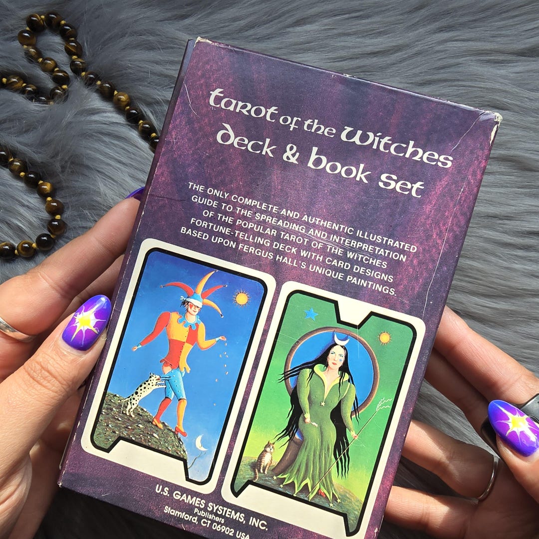 Tarot of the Witches by Fergus Hall, 78 Tarot Deck With Companion ...