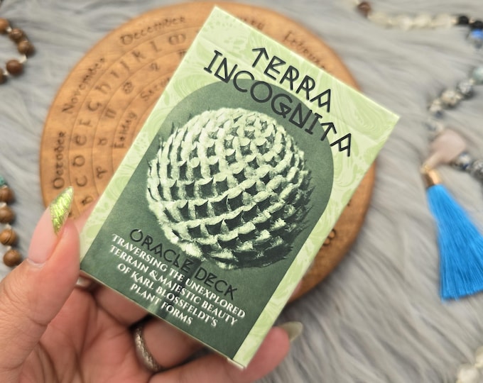 Terra Incognita Oracle Deck by Urania Press, 55 Card Oracle Deck With ...