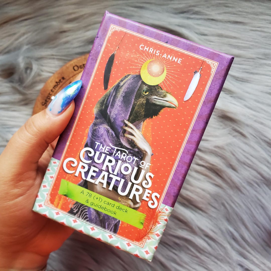 The Tarot of Curious Creatures by Chris-anne, 78 Card Tarot Deck With ...