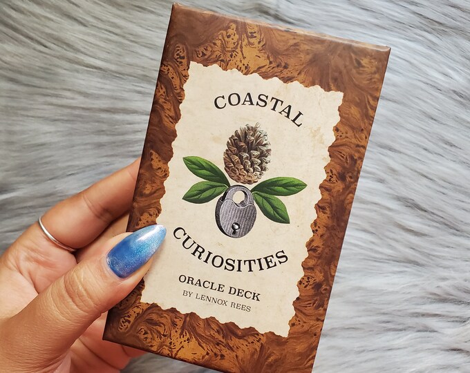 Coastal Curiosities Oracle Deck by Lennox Rees, 54 Card Deck With ...