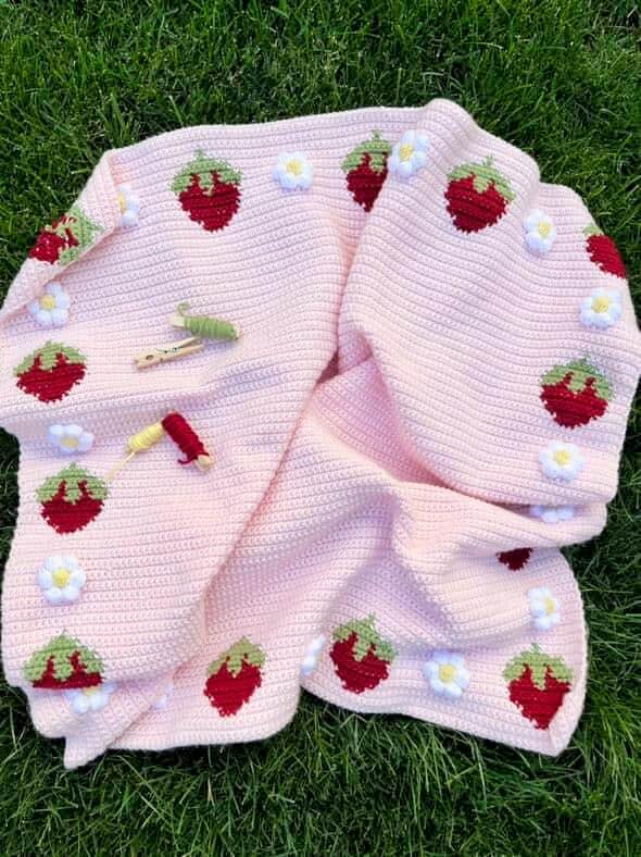 Strawberry Daisy Crochet Blanket Pattern: Cottagecore Border (PDF ...