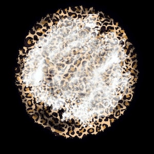 Leopard Circle Background Png Digital Download - Etsy