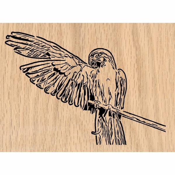 Laser Cut Parrot Svg - Etsy